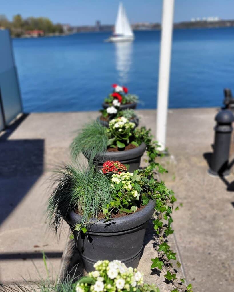 Boka Möhippa - Njuta Spa